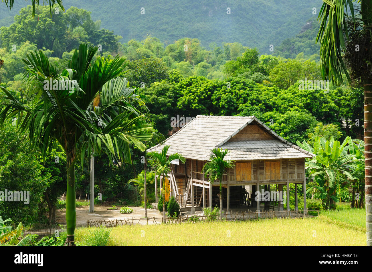 Vietnam - rural scene on the village Stock Photo - Alamy