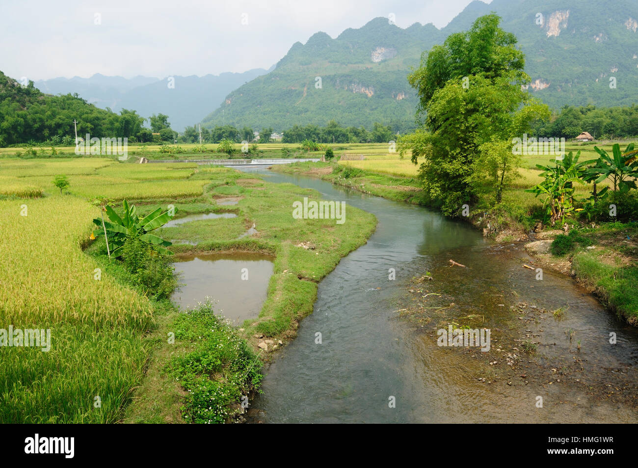Vietnam - rural scene on the village Stock Photo - Alamy
