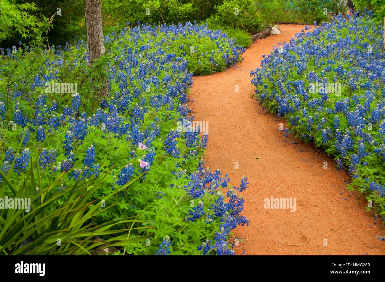 Wildflower path hi-res stock photography and images - Alamy