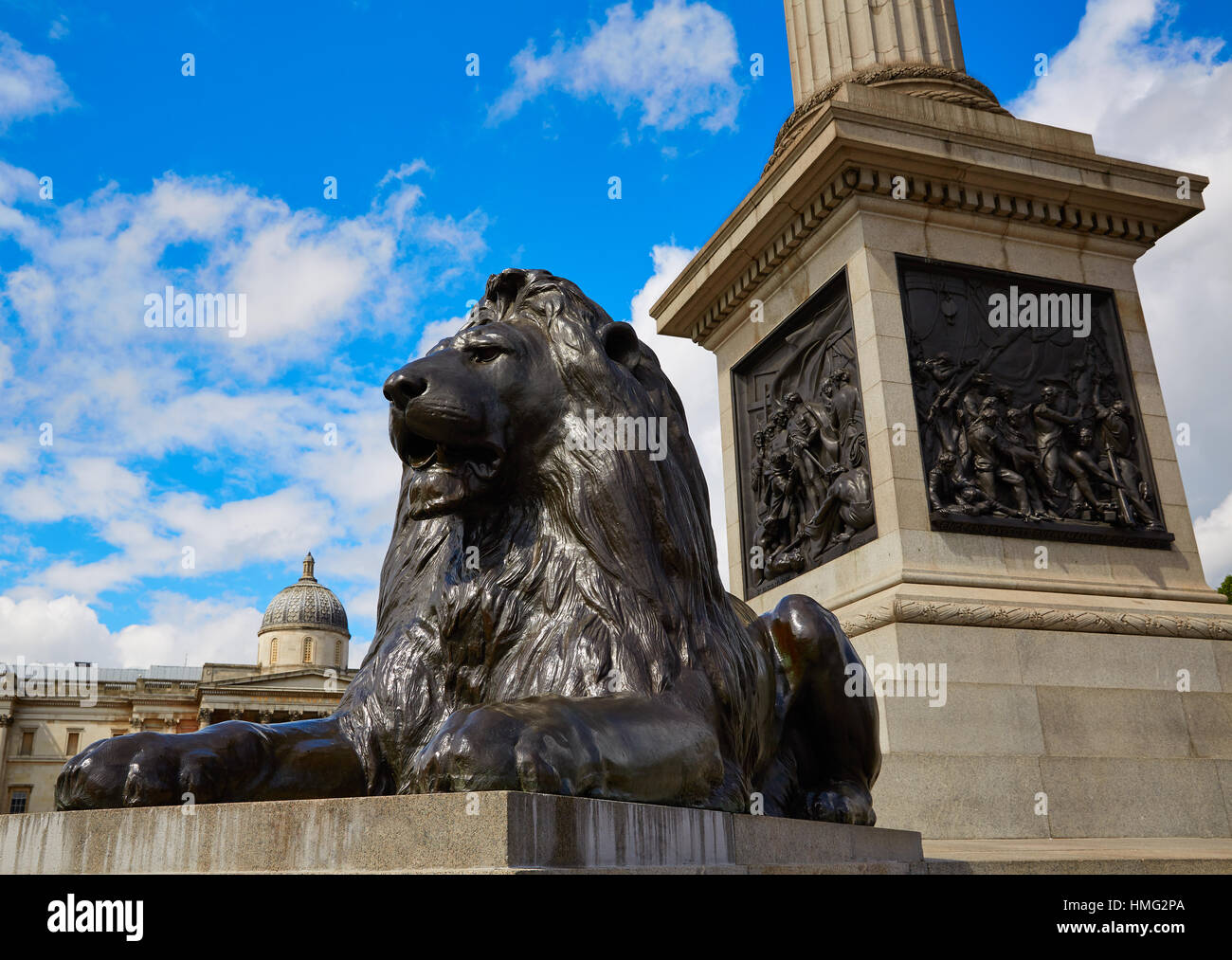 London Trafalgar Square Lion in UK england Stock Photo - Alamy