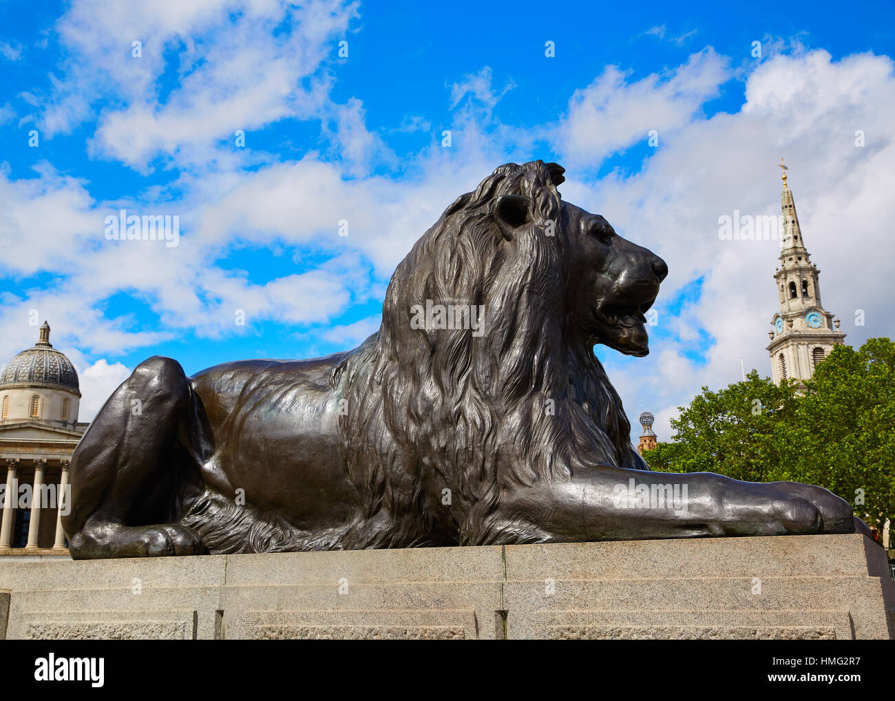 London Trafalgar Square Lion in UK england Stock Photo - Alamy