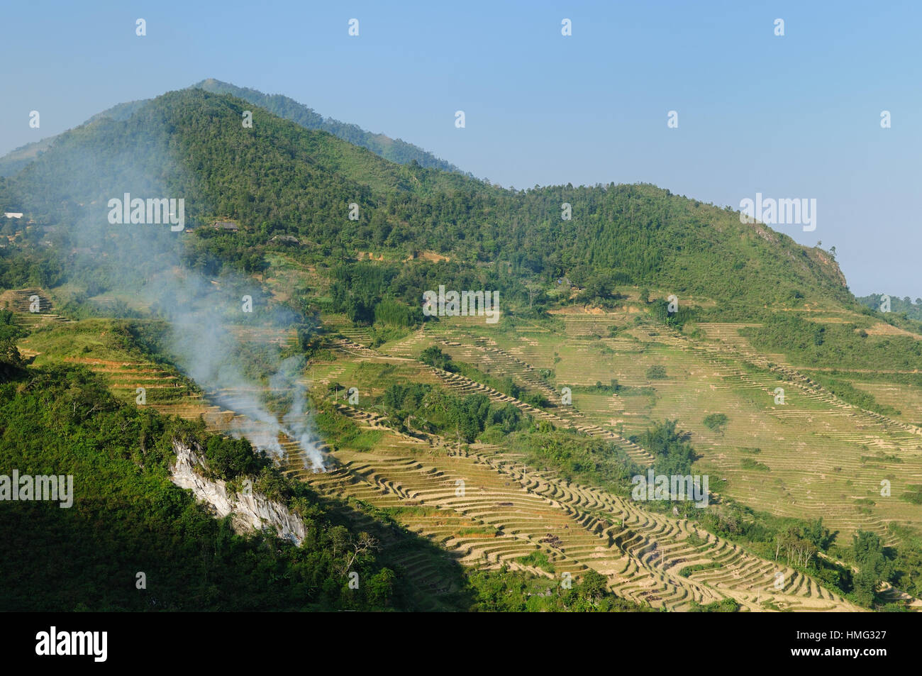 VIetnam - Rice Paddy on the Mountain near Sapa Stock Photo - Alamy