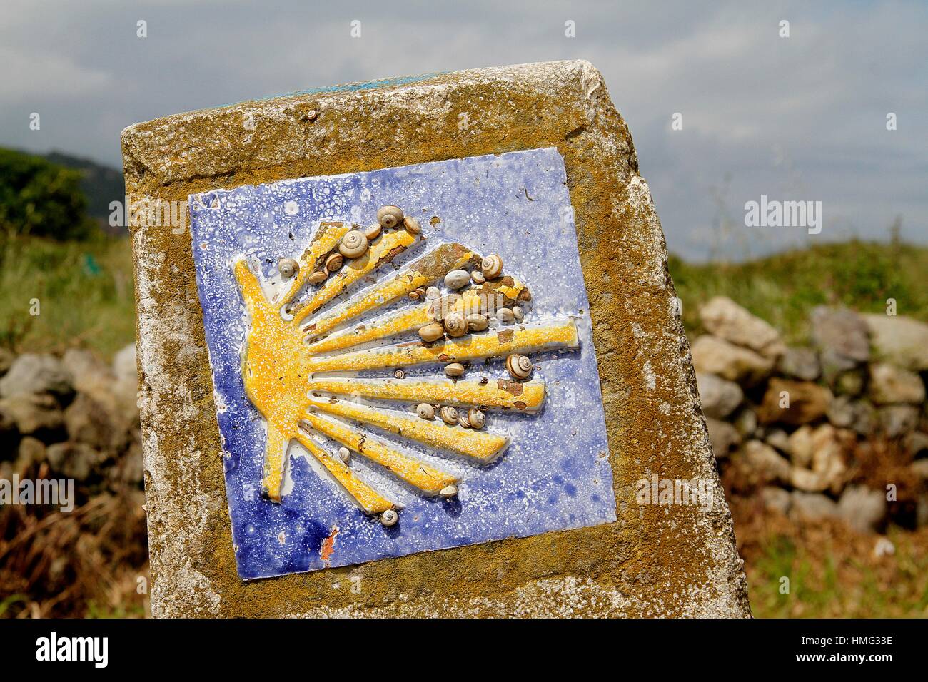 Scallop Shell Sign High Resolution Stock Photography and Images - Alamy