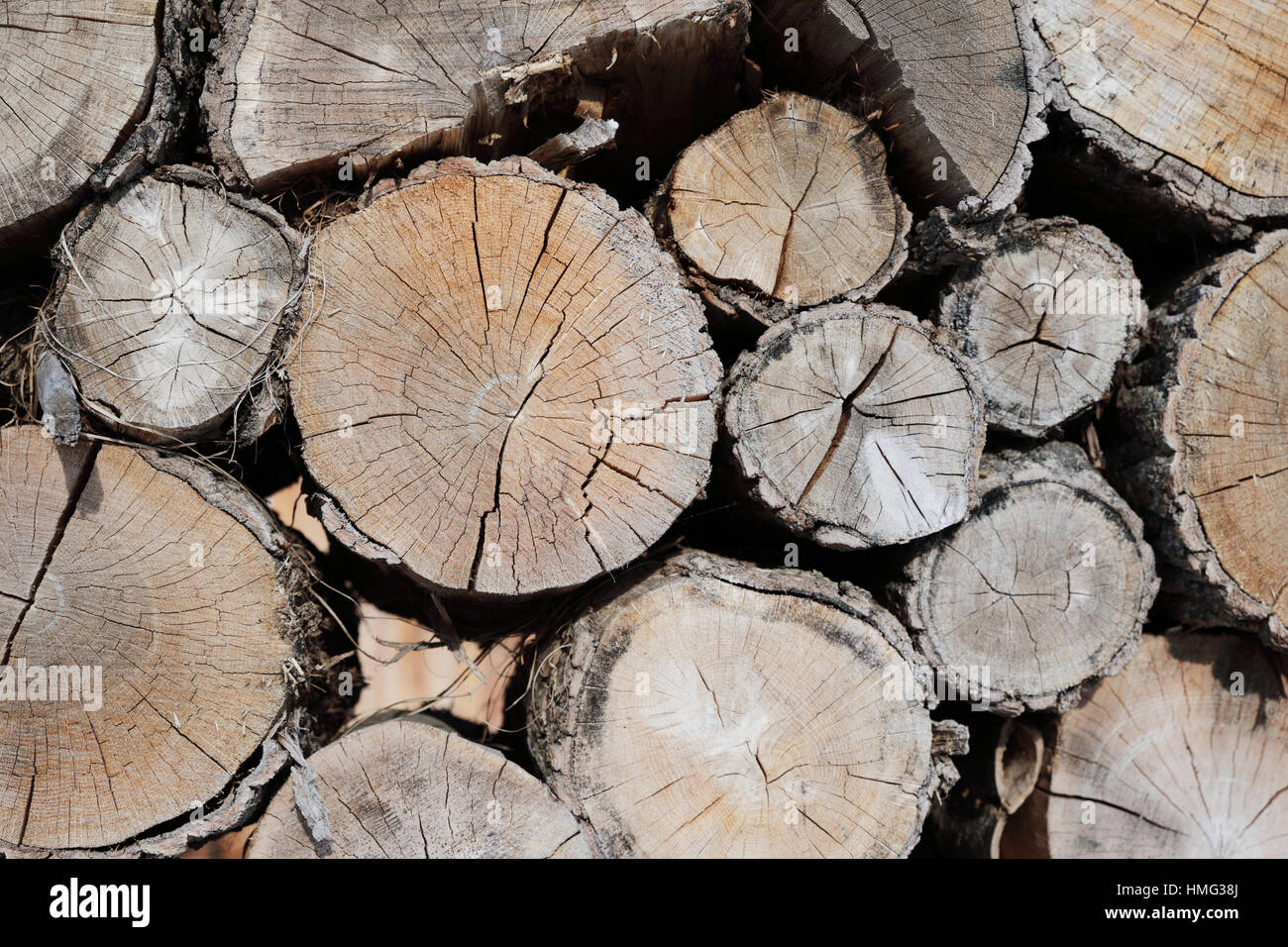 pattern of brown wood log background texture. Pile of wood logs ...