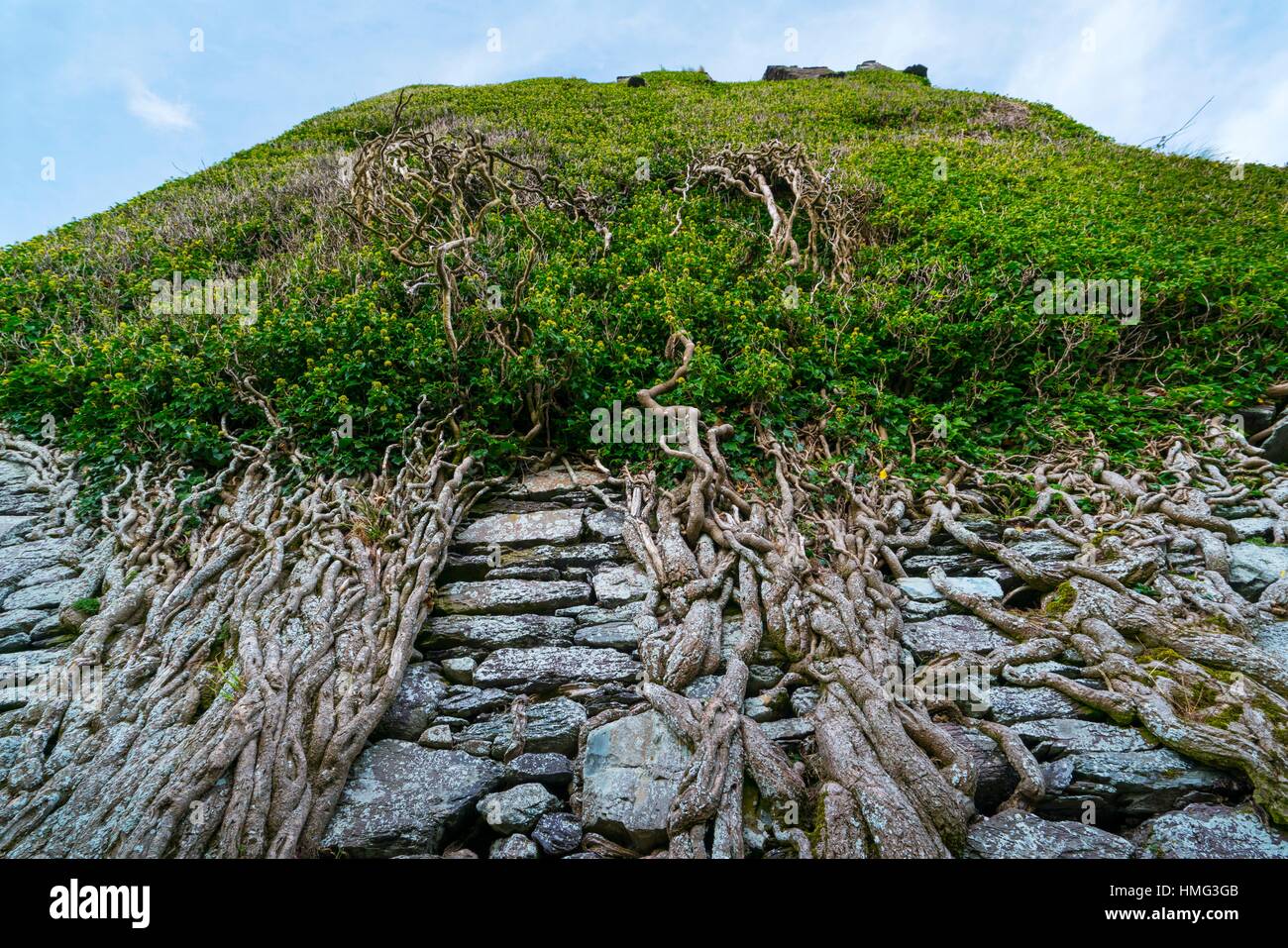 Caherciveen High Resolution Stock Photography and Images - Alamy