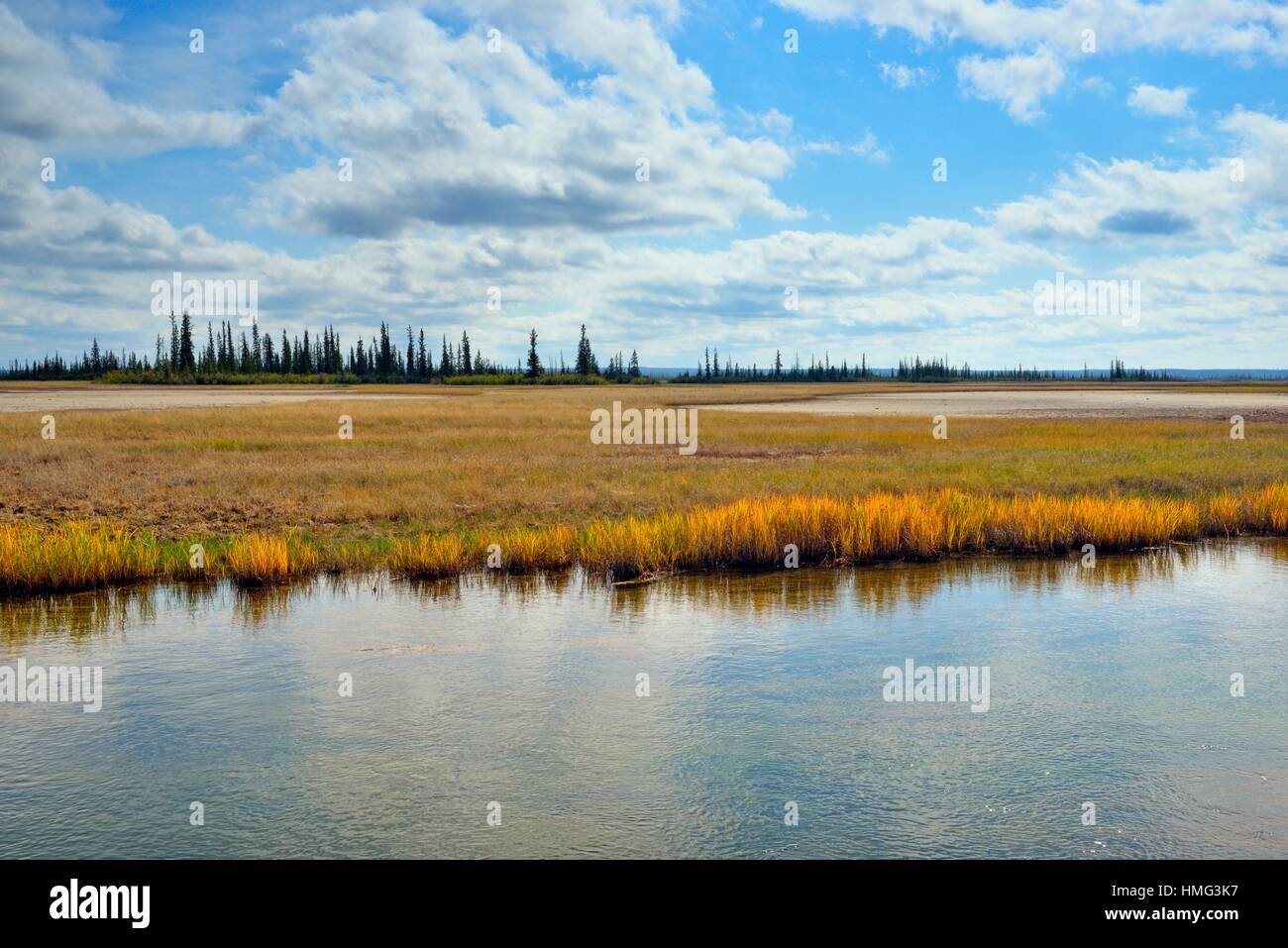 Wood Buffalo National Park Salt Plains High Resolution Stock ...