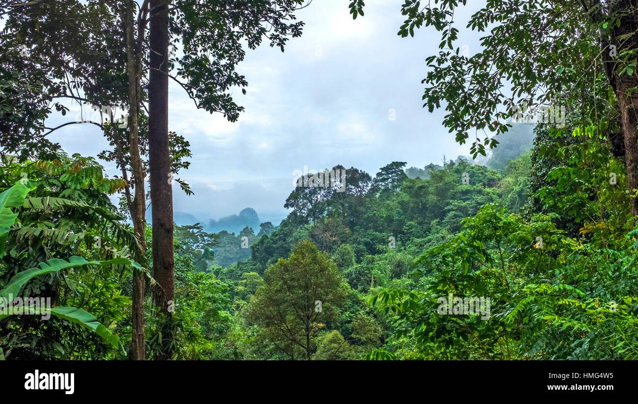 Siburan hill, Sarawak, Malaysia Stock Photo - Alamy