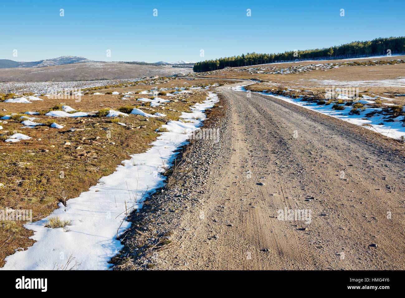 Pinewood road hi-res stock photography and images - Alamy