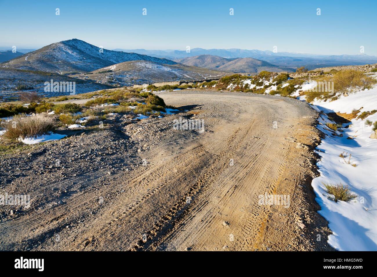 Pinewood road in Robledondo. Madrid. Spain. Europe Stock Photo - Alamy