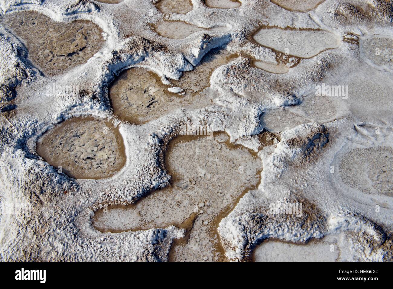 Wood Buffalo National Park Salt Plains High Resolution Stock ...