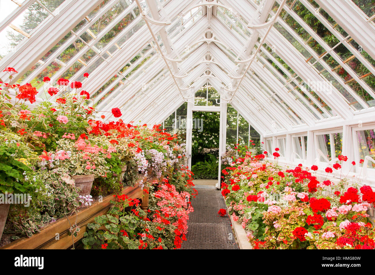 A greenhouse, glasshouse or hothouse is a structure in which plants ...