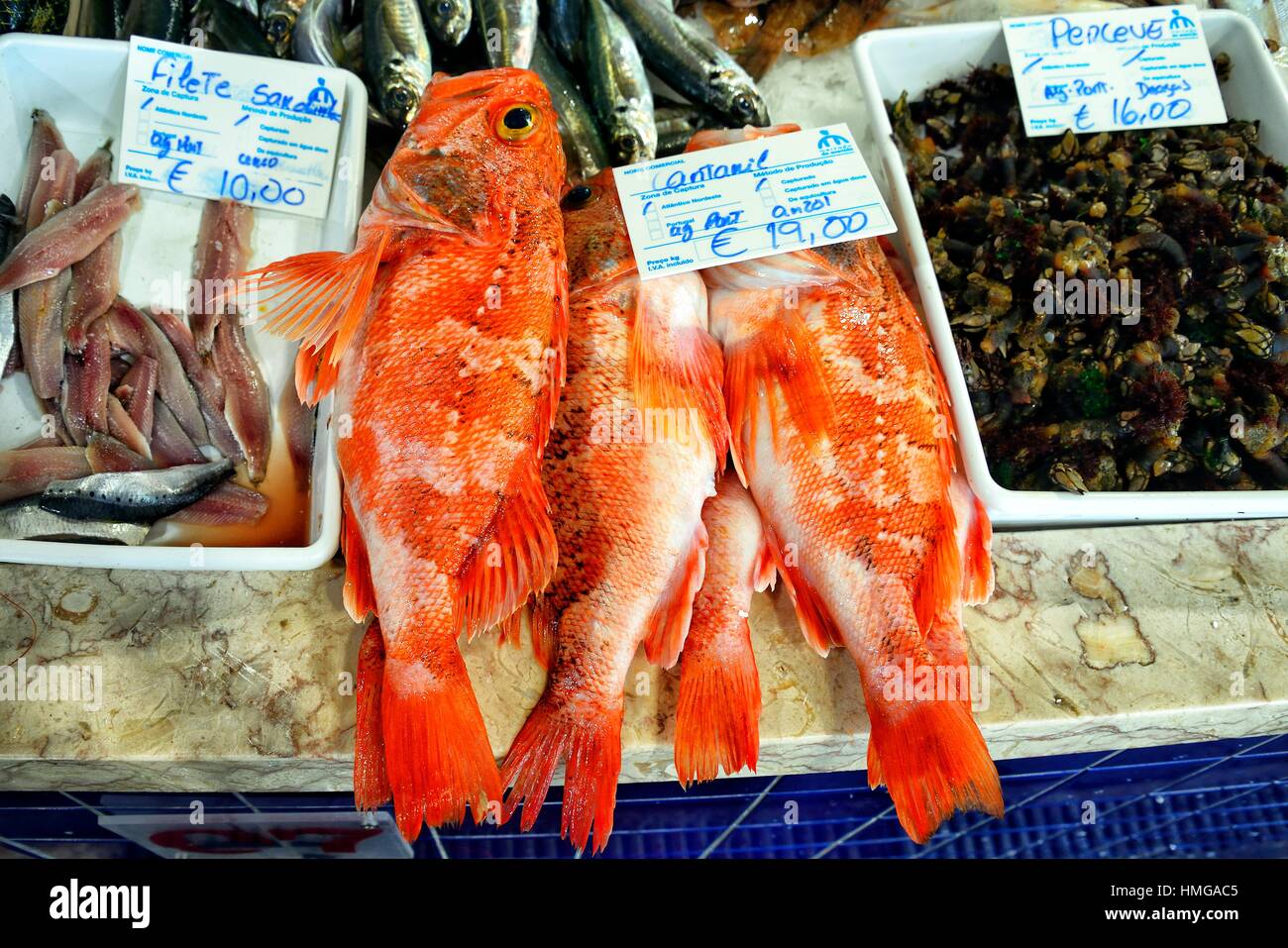 Traditional portugal fish market hi-res stock photography and images ...