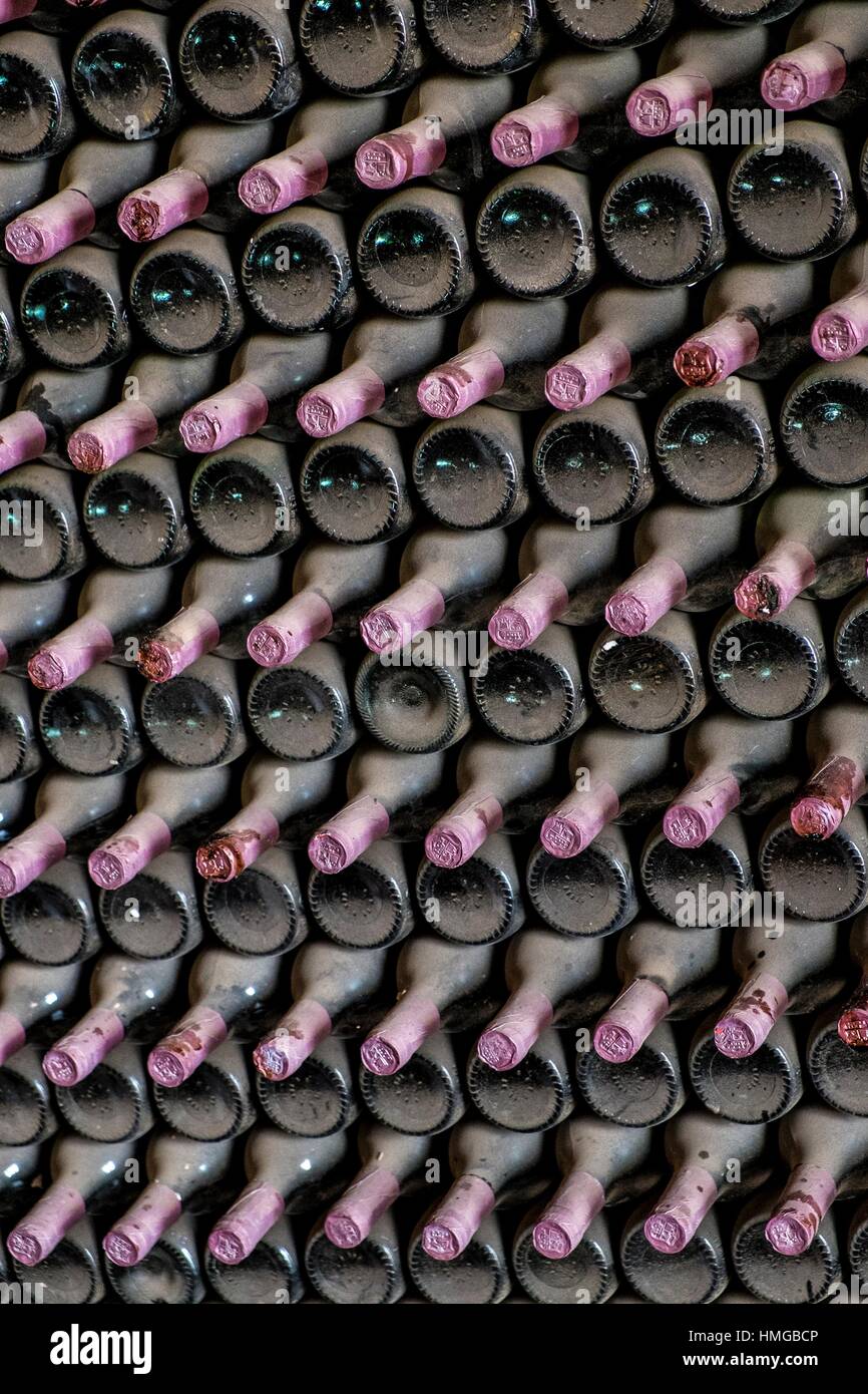 Dusty wine bottles bodega rubicon la geria hi-res stock photography and ...