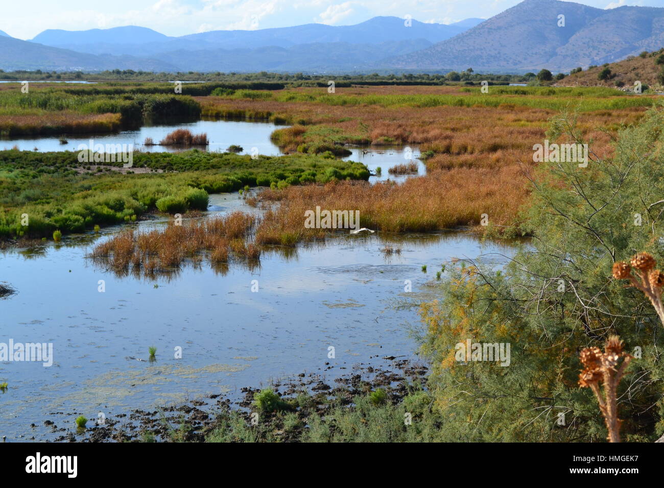 Irregular shape land hi-res stock photography and images - Alamy