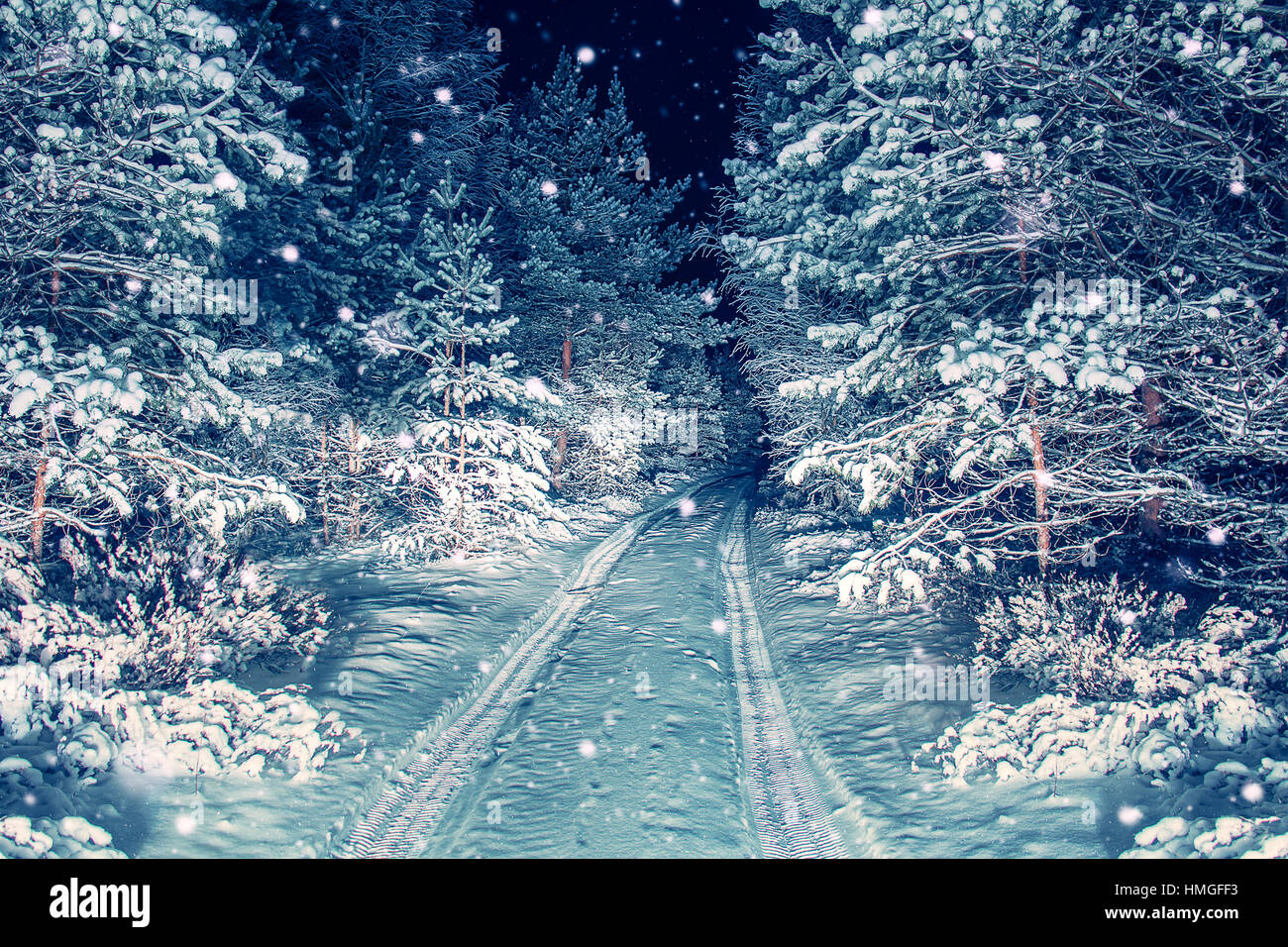 The road in night snowy forest. Winter background Stock Photo - Alamy