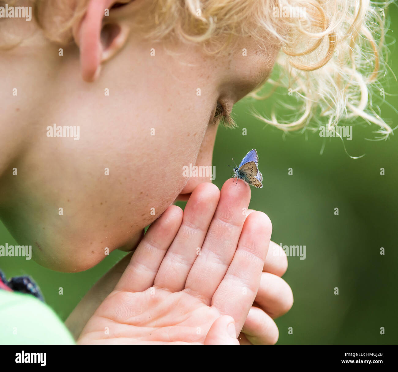 A young boy looking very closely at a Common Blue butterfly Stock Photo ...