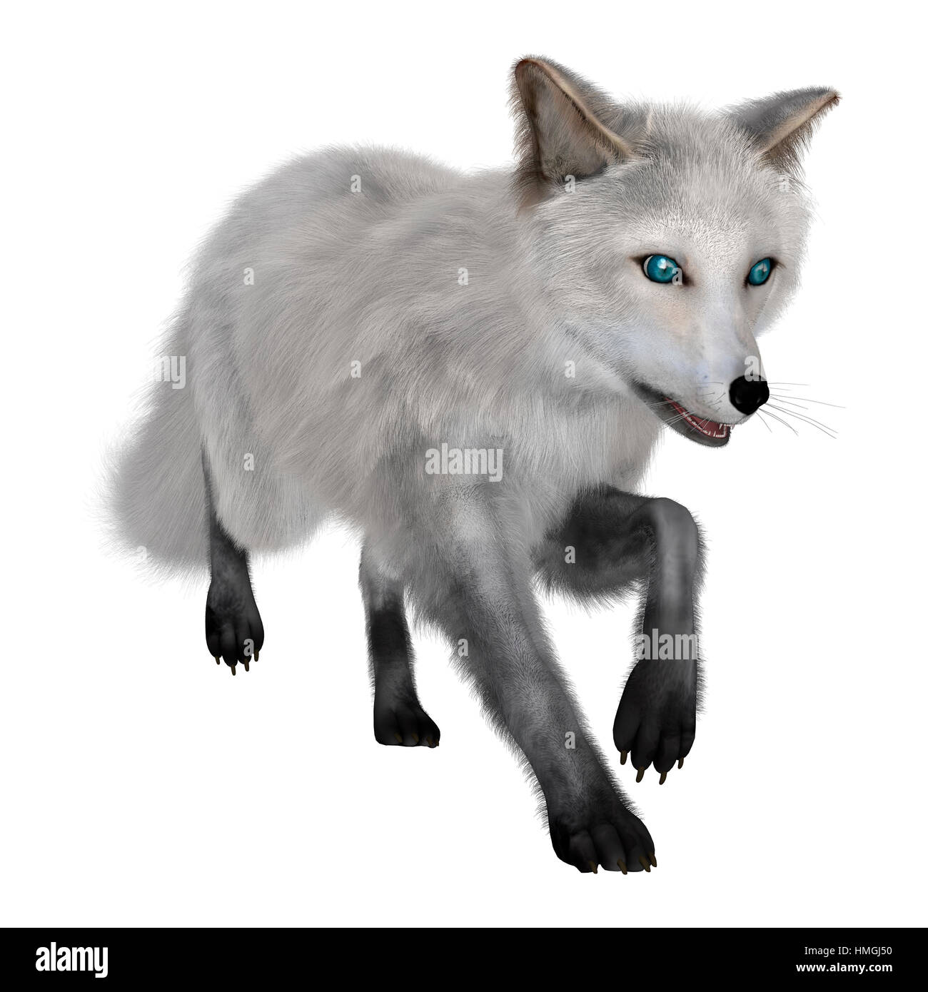 3D rendering of an arctic fox isolated on white background Stock Photo ...