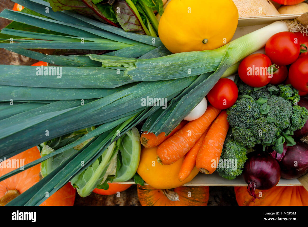 Martin Tebbutt, of Boathouse Farm, near Lewes, East Sussex, with some ...