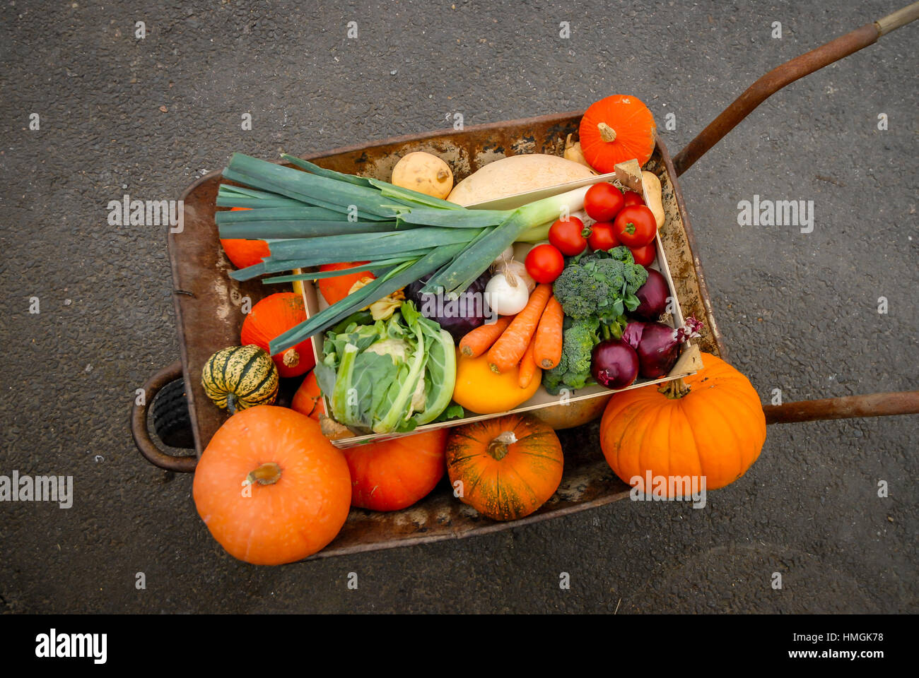Martin Tebbutt, of Boathouse Farm, near Lewes, East Sussex, with some ...