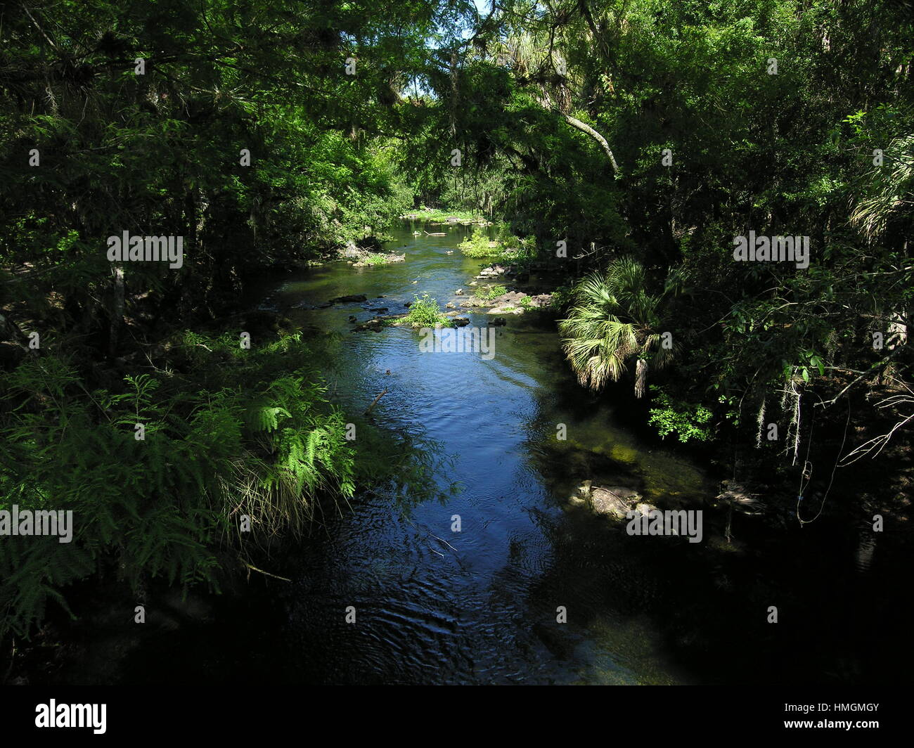 Hillsborough river state park hi-res stock photography and images - Alamy