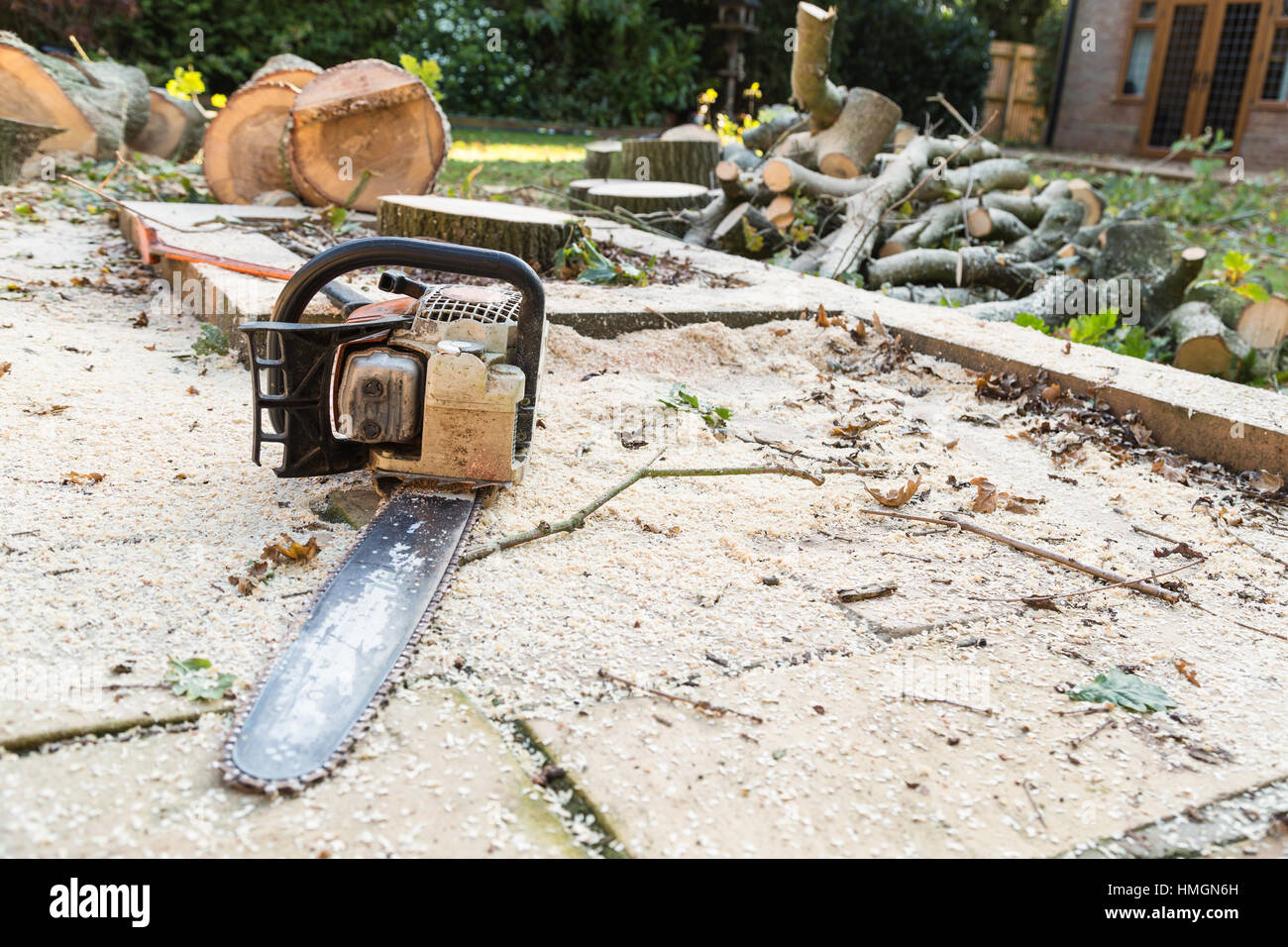 Saw grass hi-res stock photography and images - Alamy
