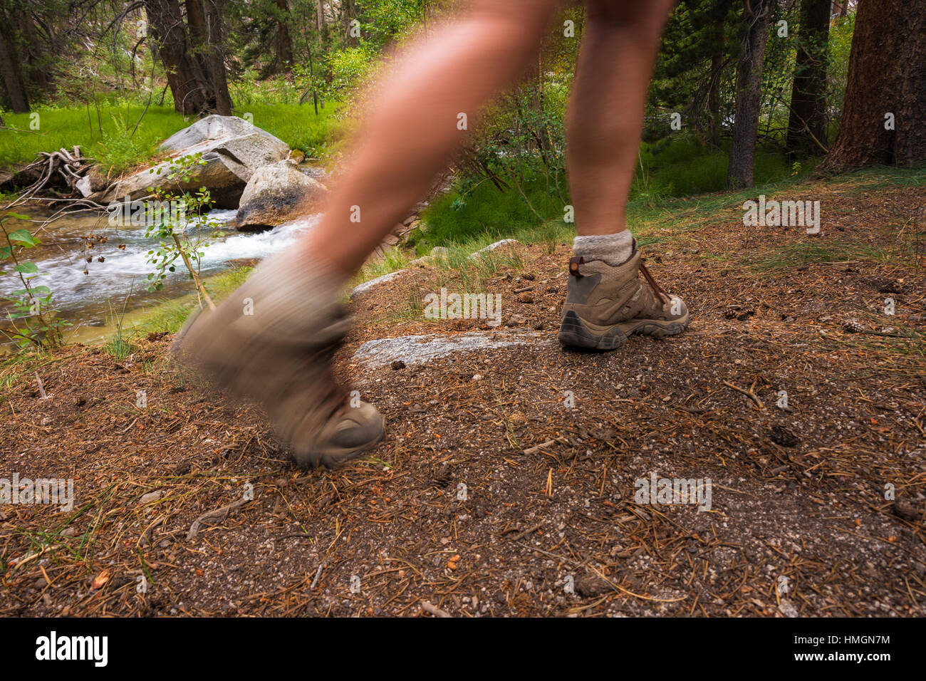 Hiker's legs blurred on trail, John Muir Wilderness, Sierra Nevada ...