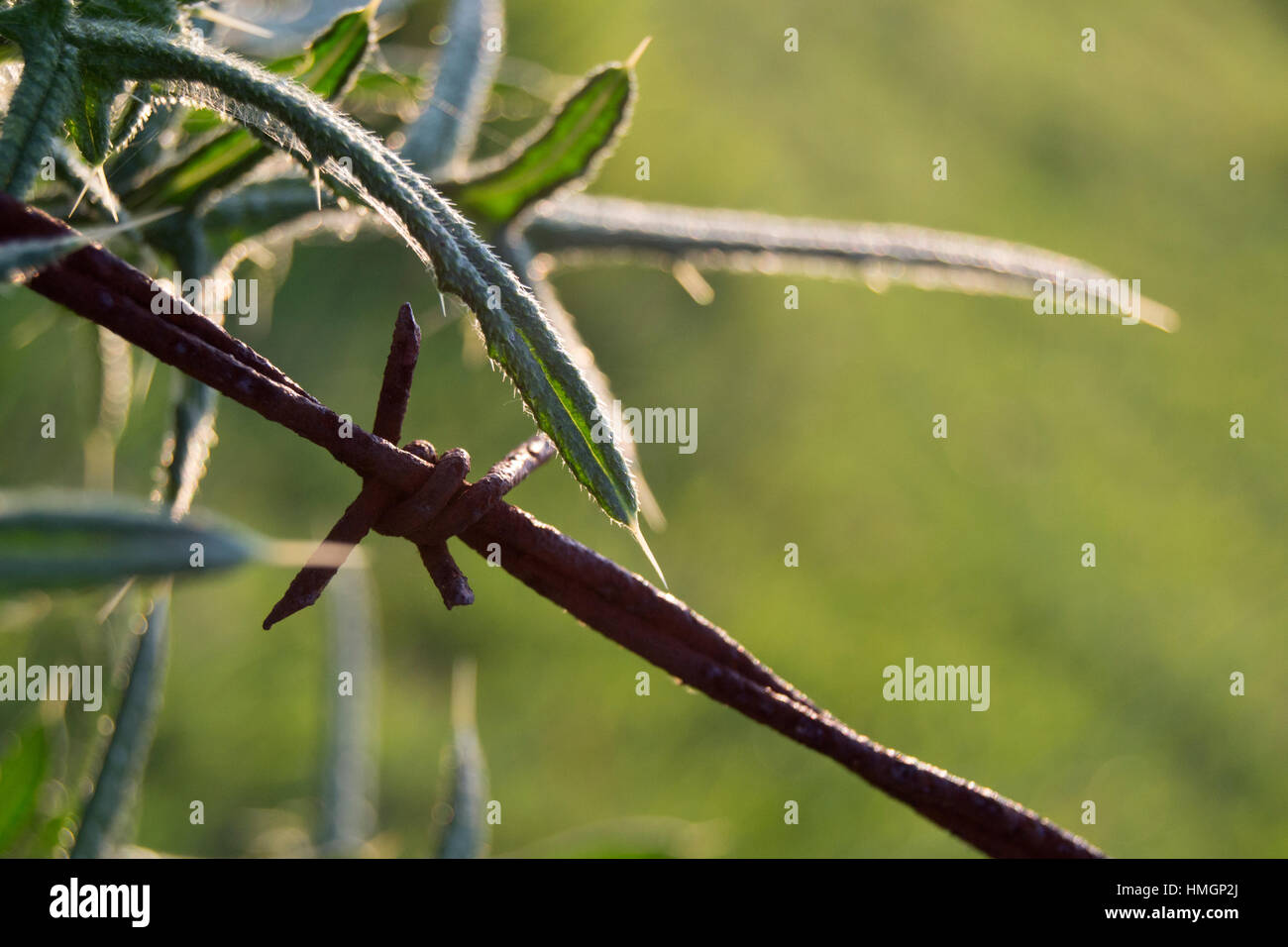 Pain point hi-res stock photography and images - Alamy