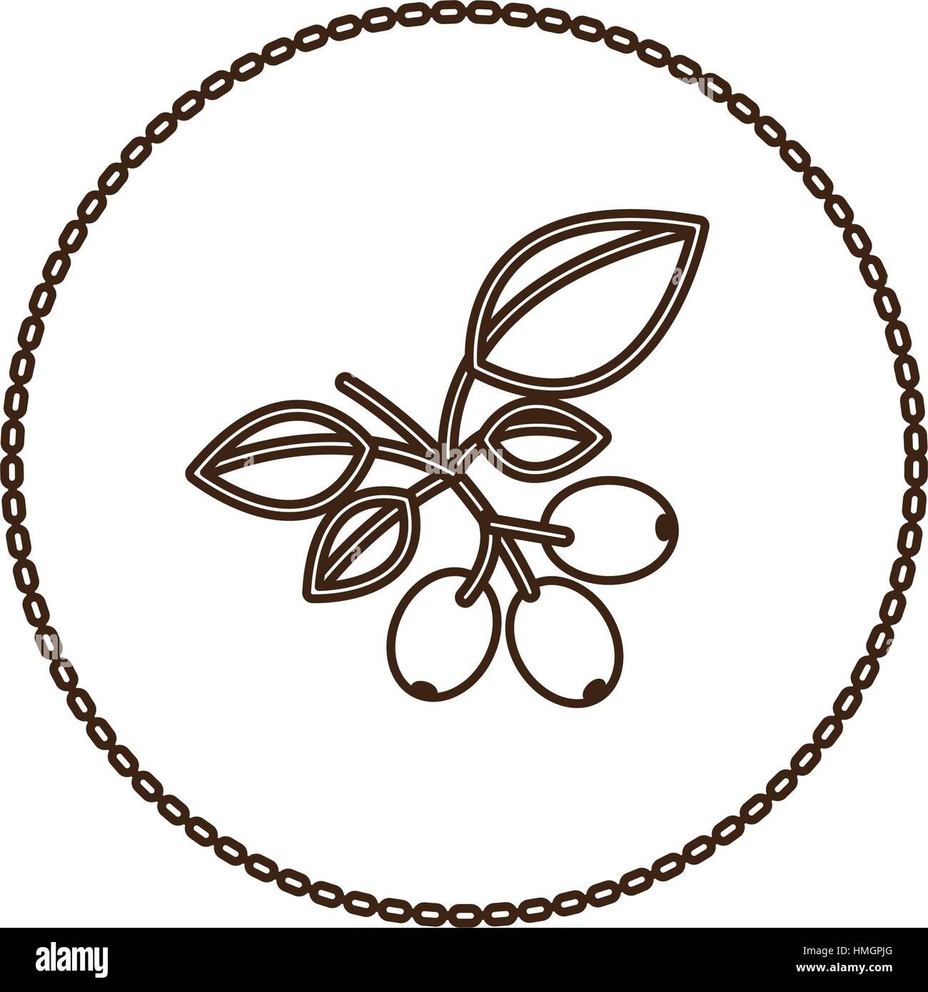 monochrome round contour with coffee tree branch vector illustration ...