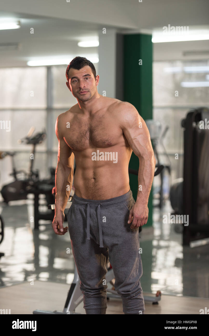 Hairy Handsome Young Man Standing Strong In The Gym And Flexing Muscles ...