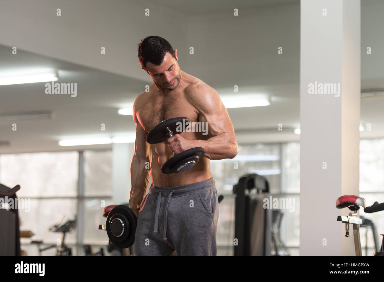 Healthy Hairy Man Working Out Biceps In A Fitness Center Gym - Dumbbell ...