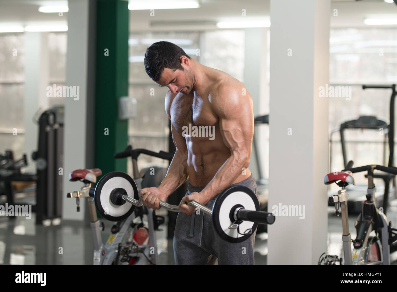 Handsome Hairy Man Working Out Biceps In A Fitness Center Gym Stock ...