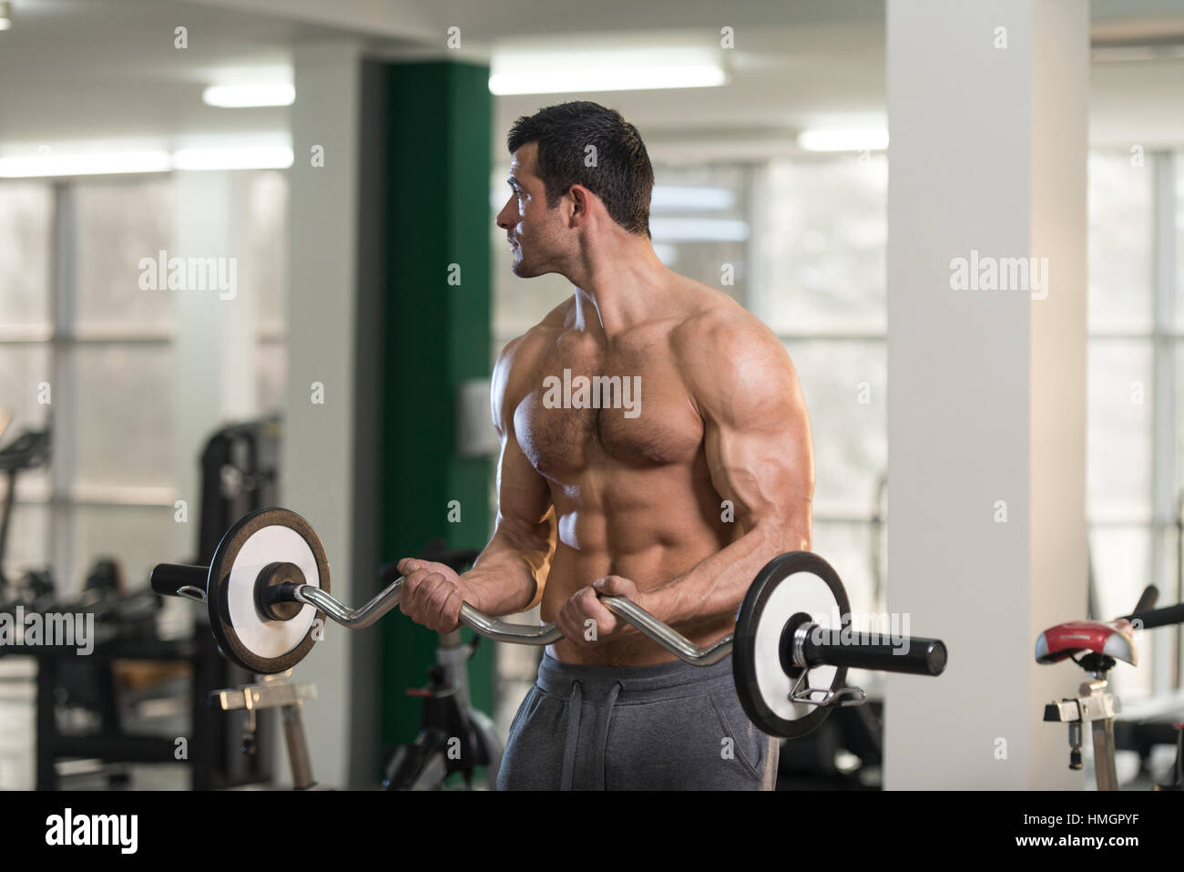 Handsome Hairy Man Working Out Biceps In A Fitness Center Gym Stock ...