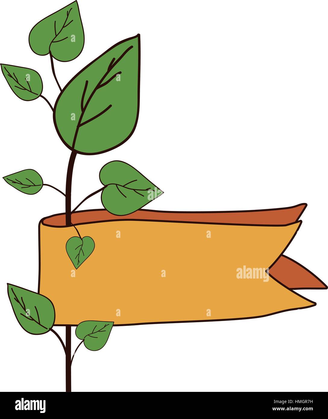 colorful picture plant with leaves and label around vector illustration ...