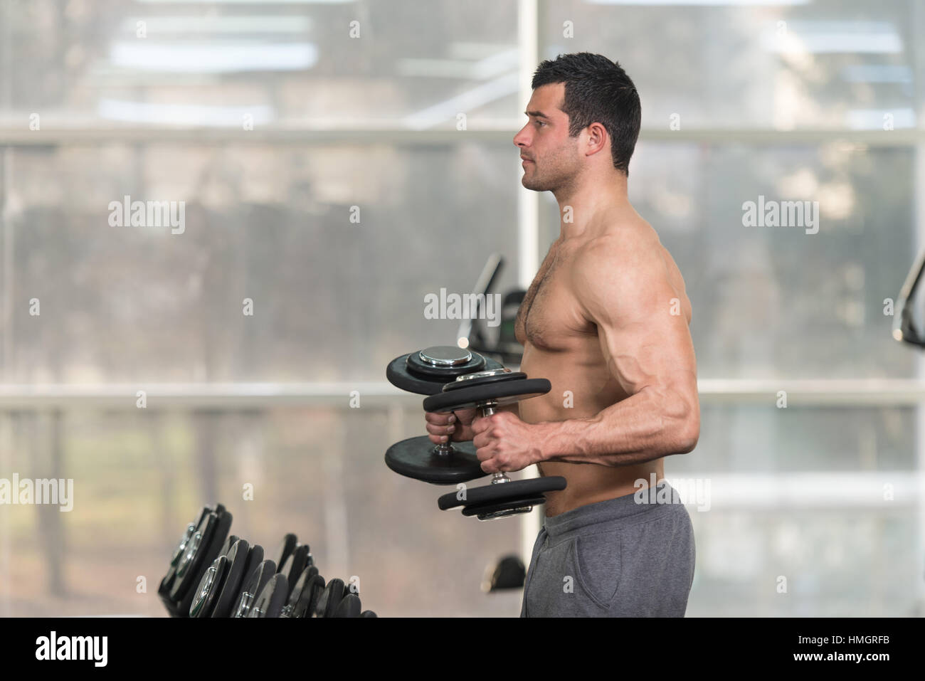 Handsome Hairy Man Working Out Biceps In A Fitness Center Gym ...