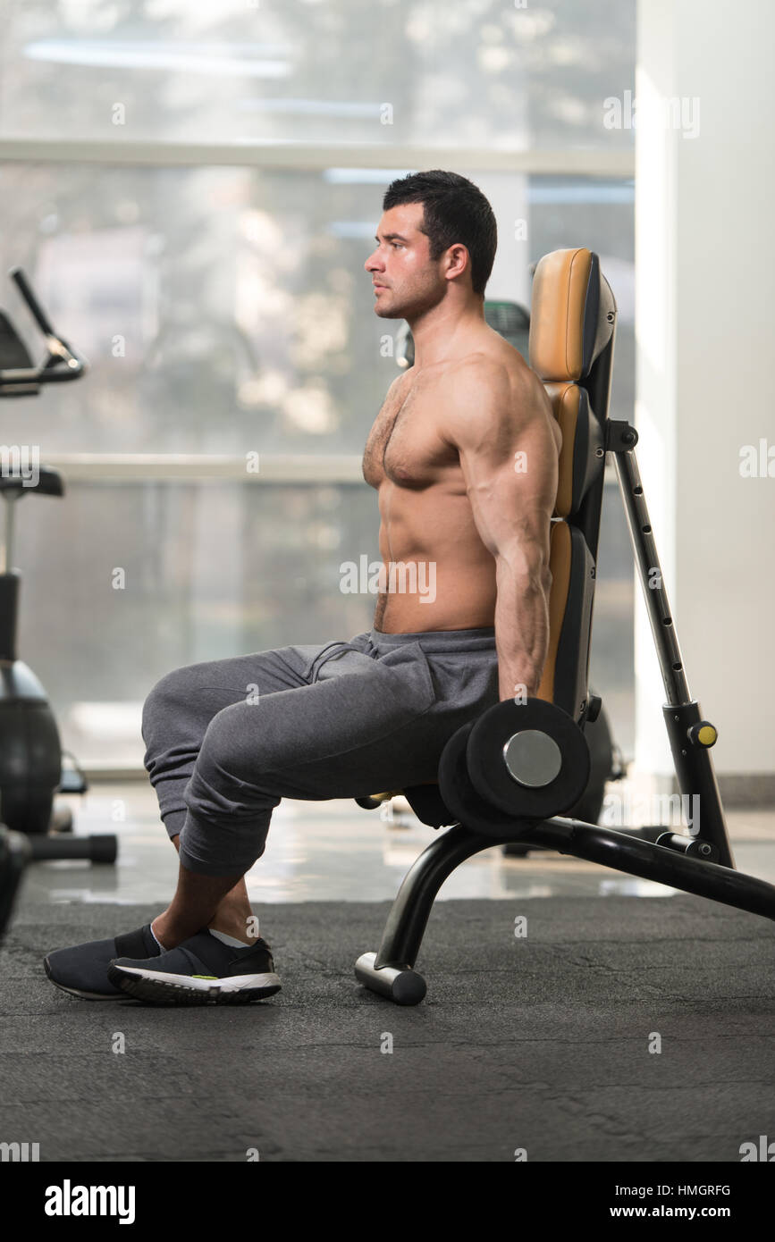 Handsome Hairy Man Working Out Biceps In A Fitness Center Gym ...