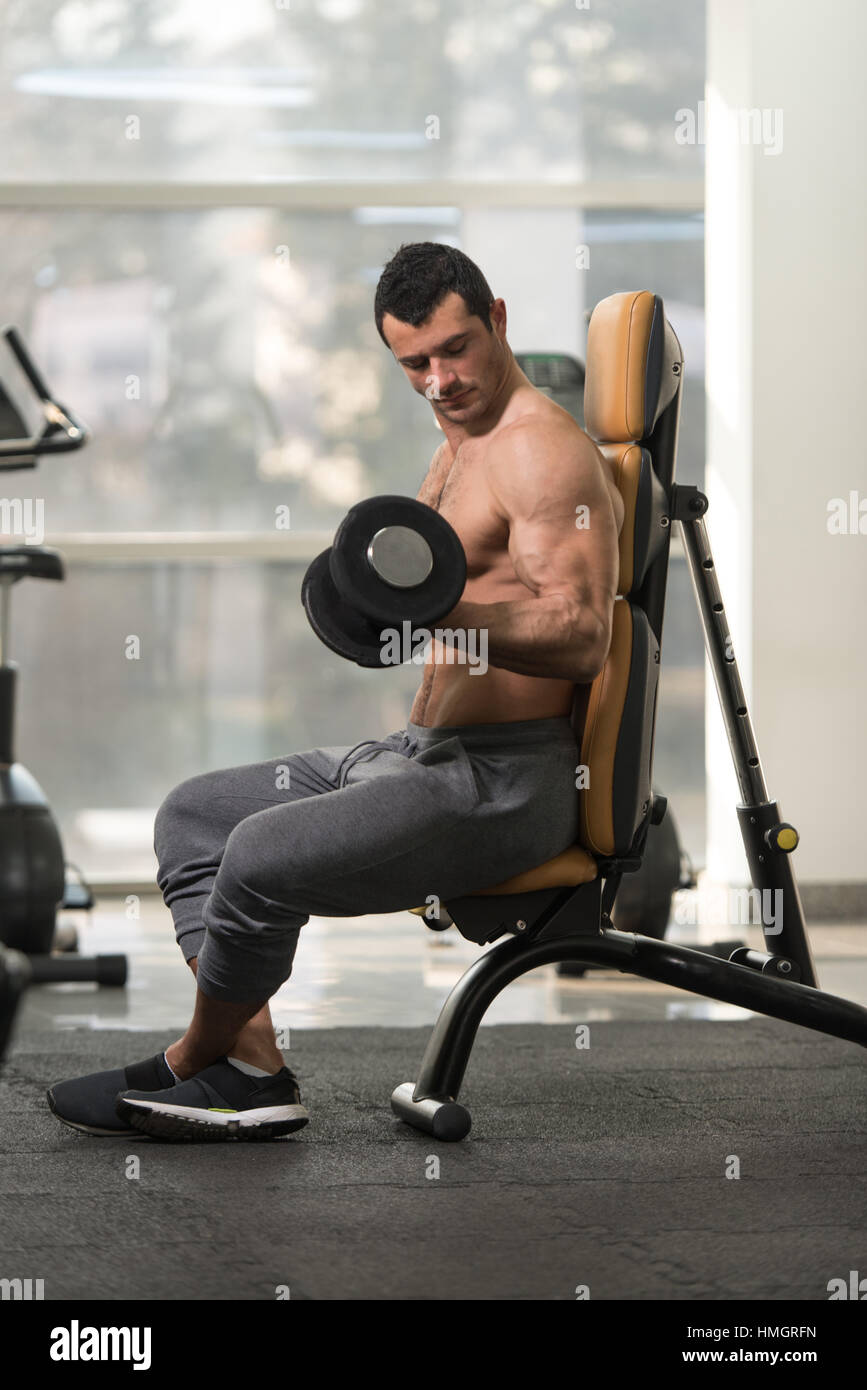 Handsome Hairy Man Working Out Biceps In A Fitness Center Gym ...