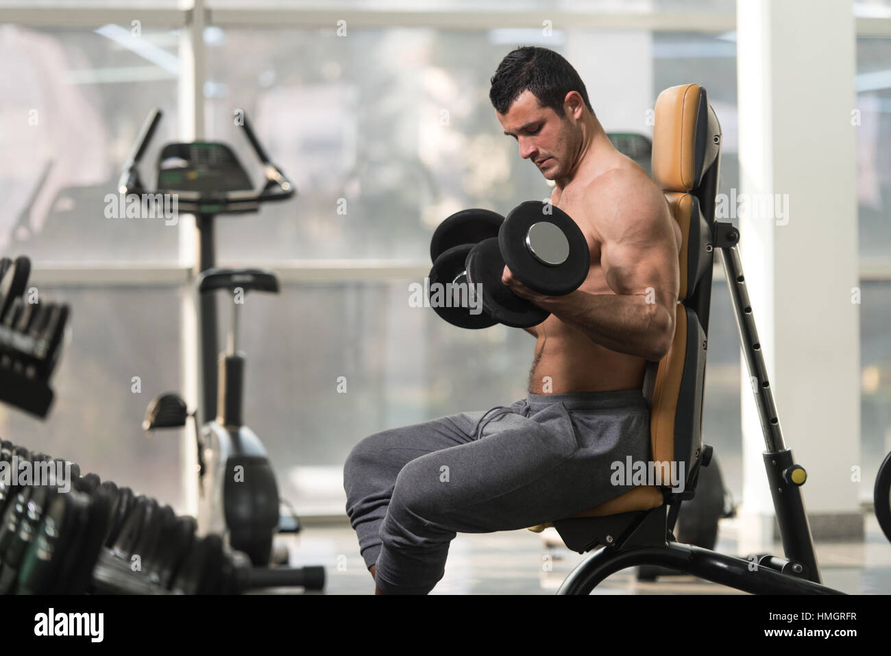Handsome Hairy Man Working Out Biceps In A Fitness Center Gym ...