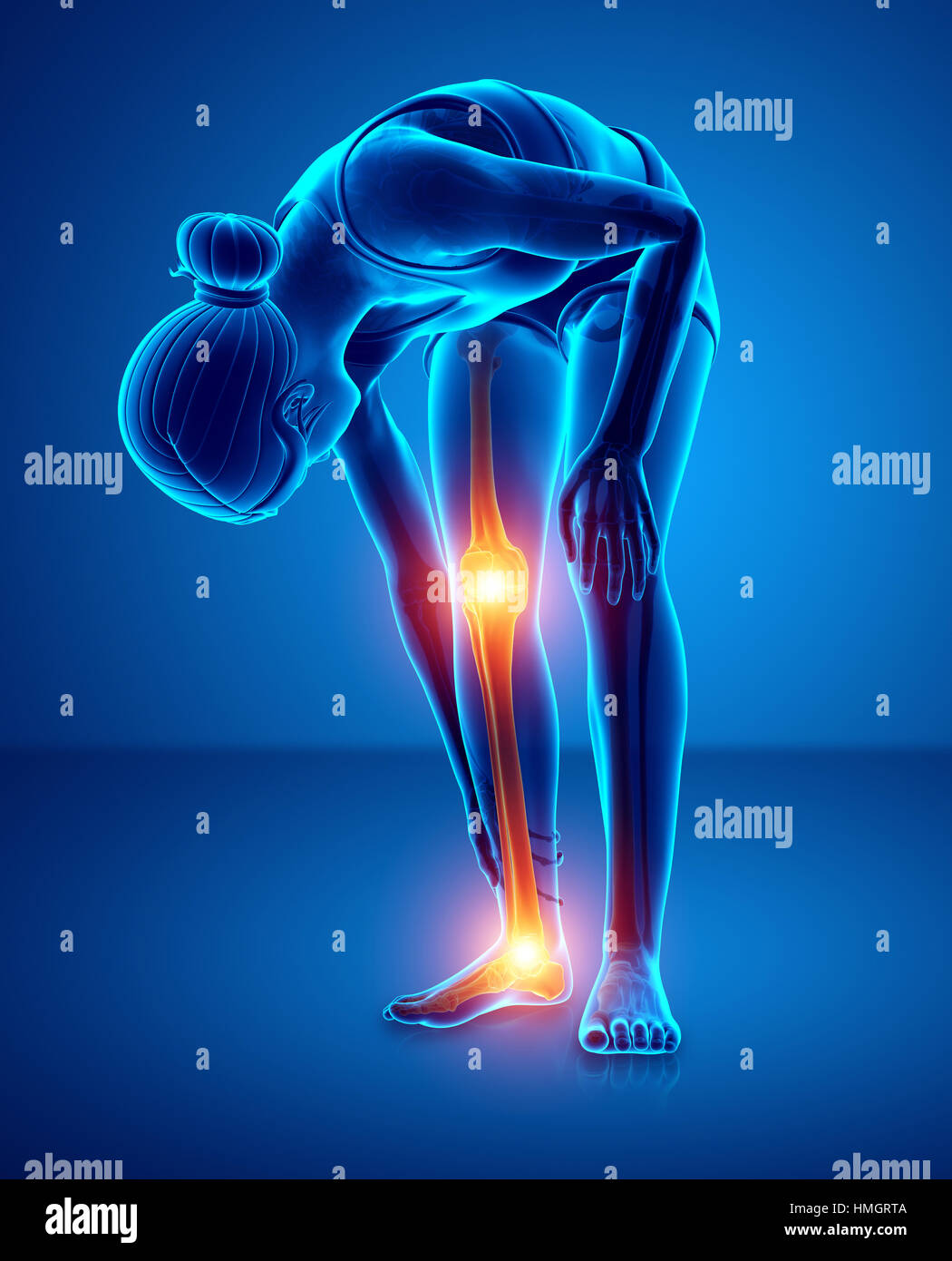 human body anatomy with joint pain Stock Photo - Alamy