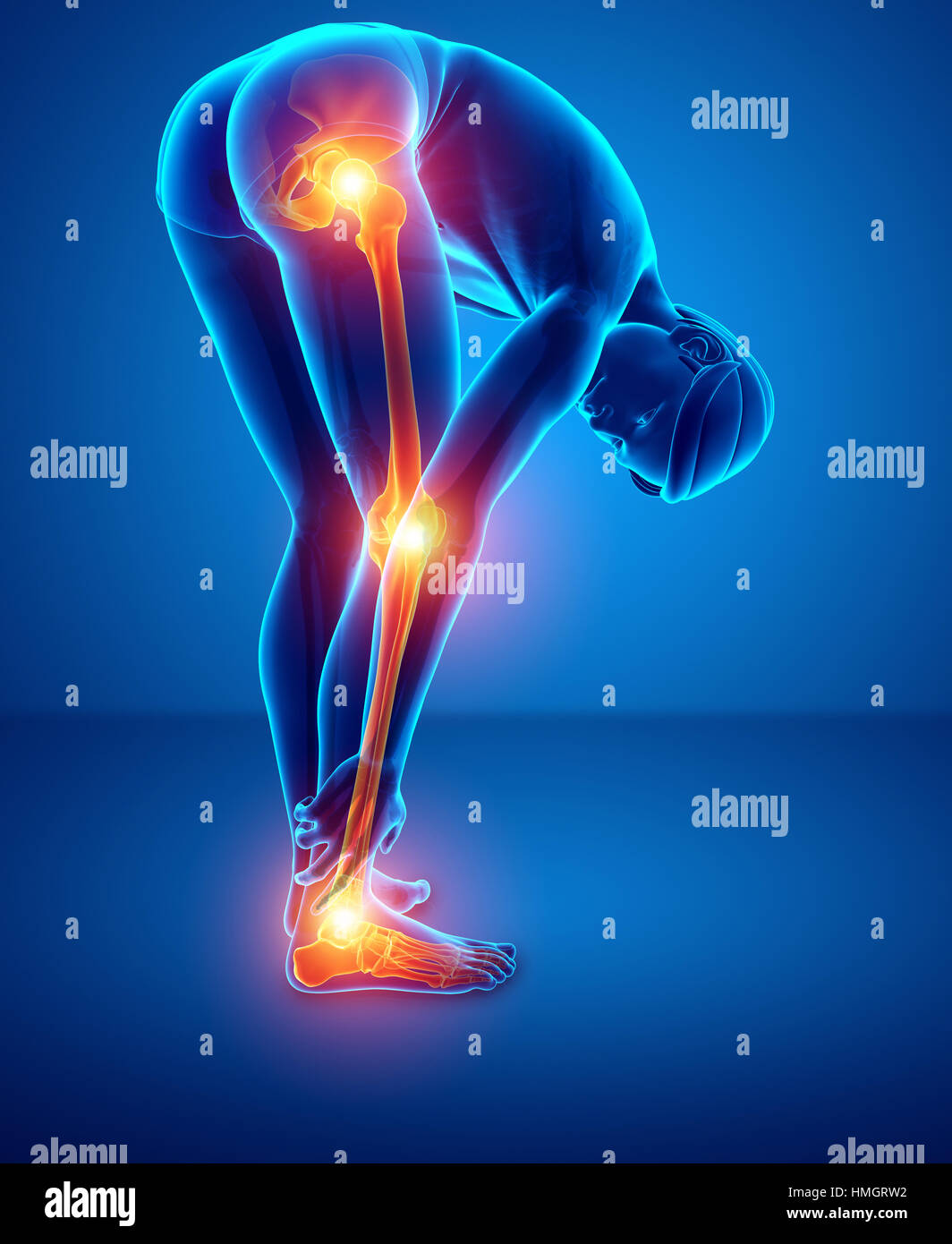 human body anatomy with joint pain Stock Photo - Alamy