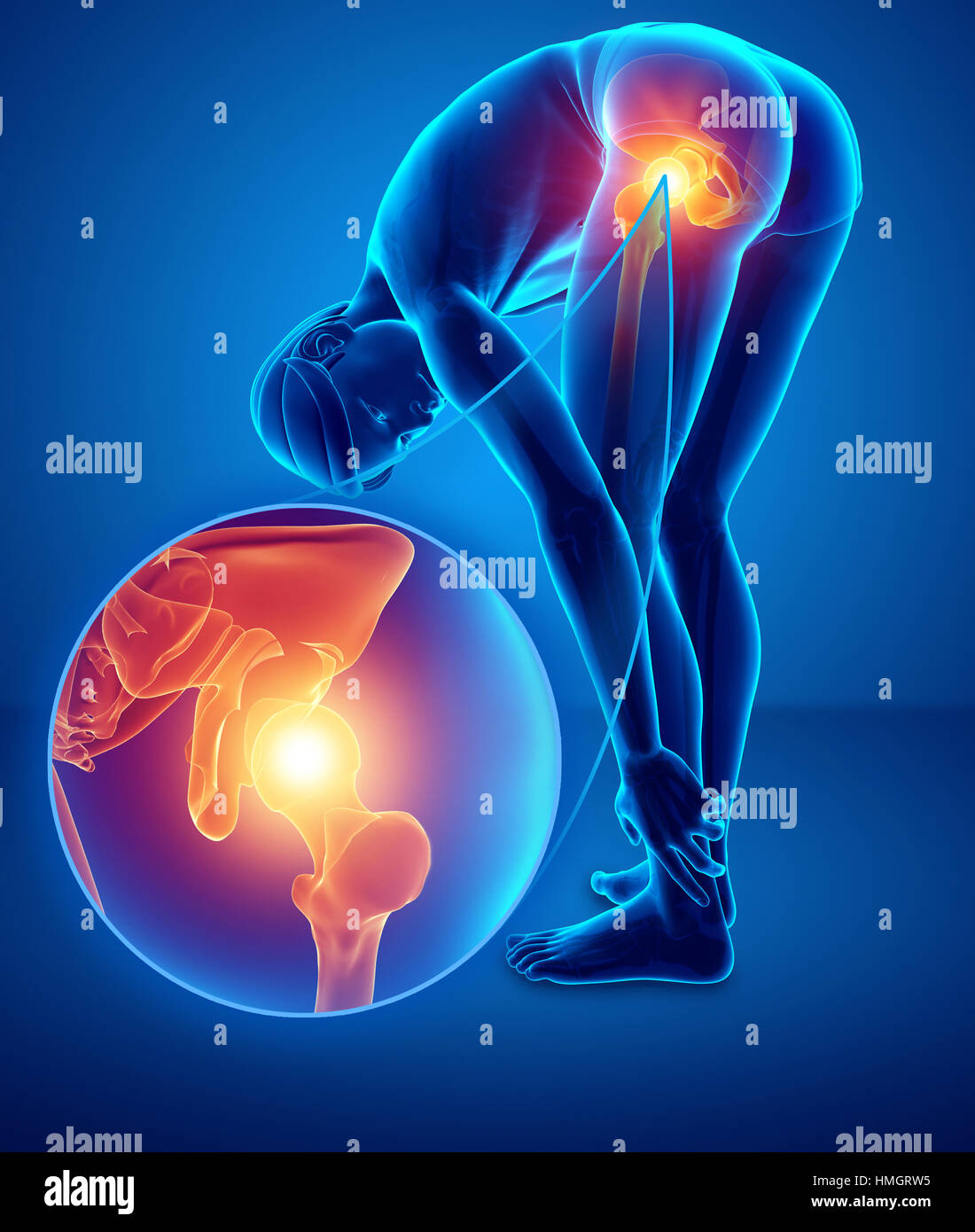 human body anatomy with joint pain Stock Photo - Alamy