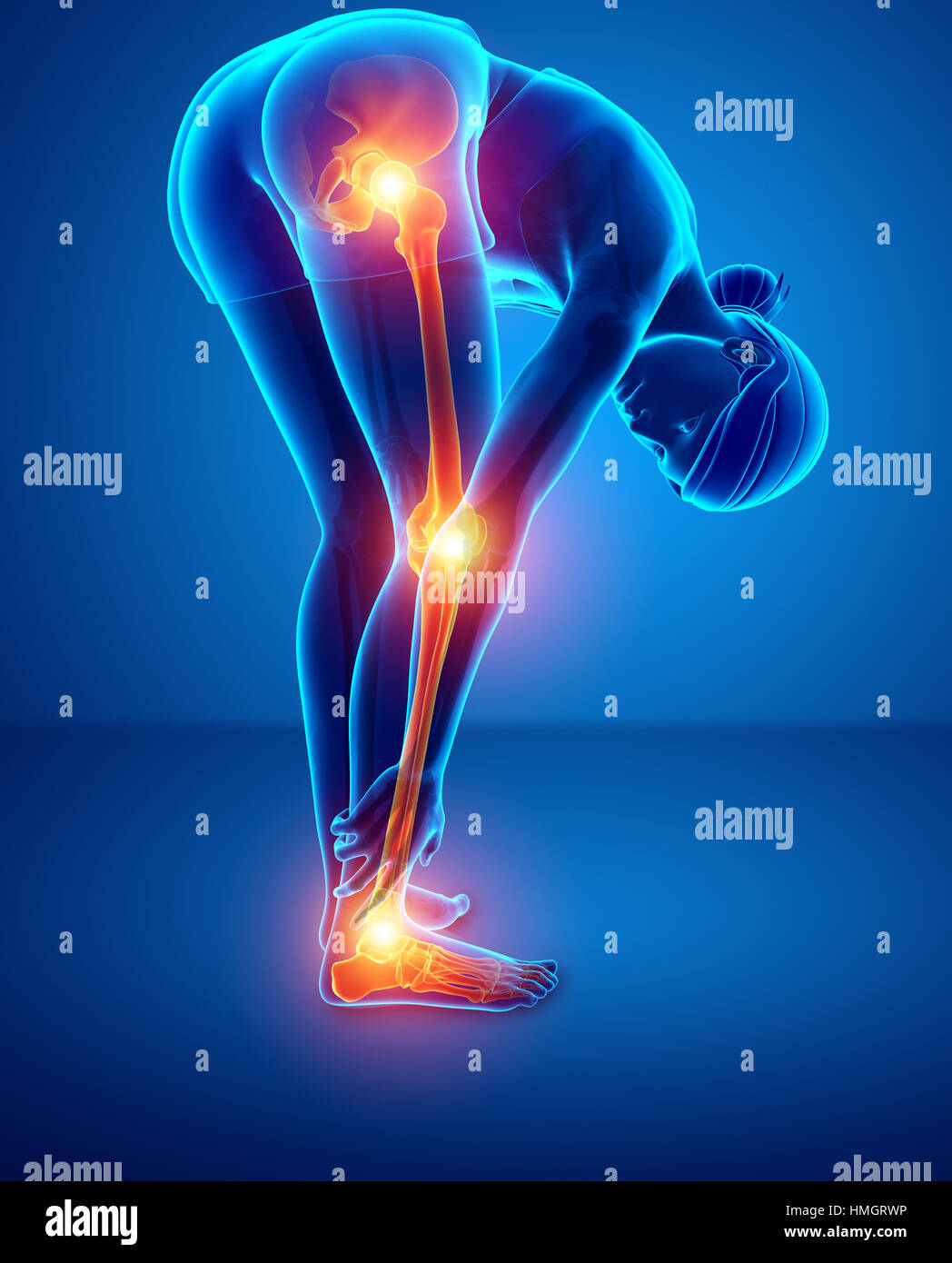 human body anatomy with joint pain Stock Photo - Alamy
