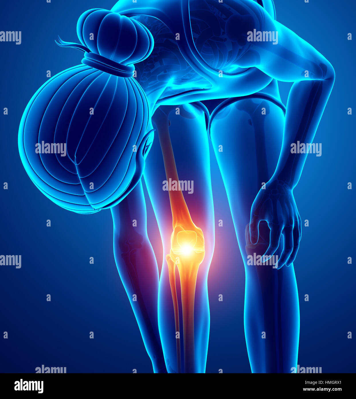 human body anatomy with joint pain Stock Photo - Alamy
