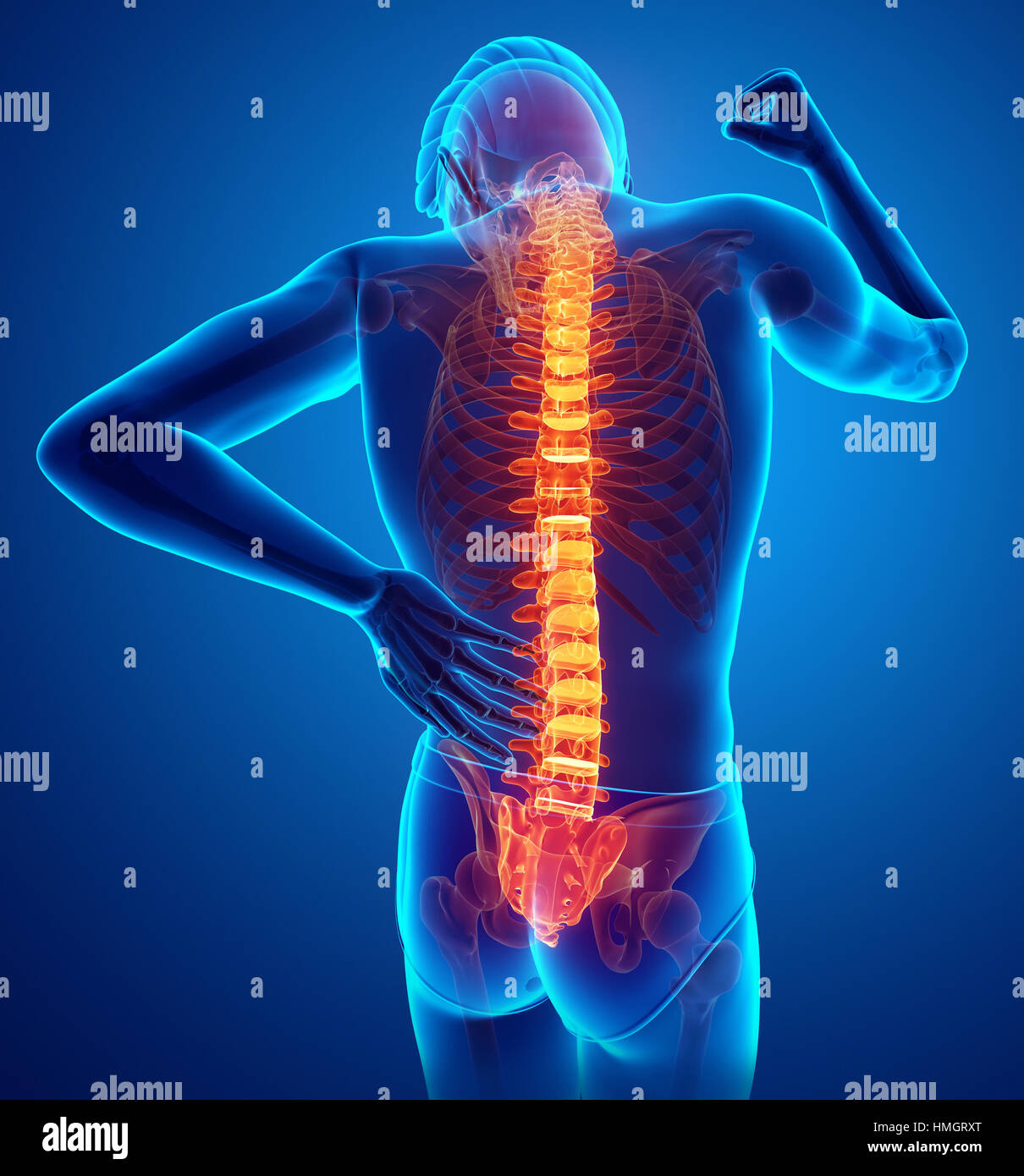 human body anatomy with joint pain Stock Photo - Alamy