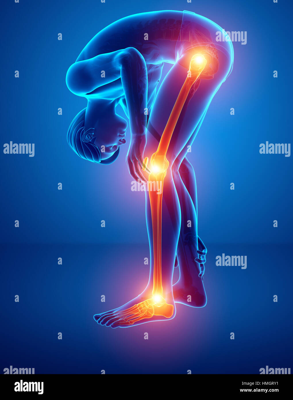 human body anatomy with joint pain Stock Photo - Alamy