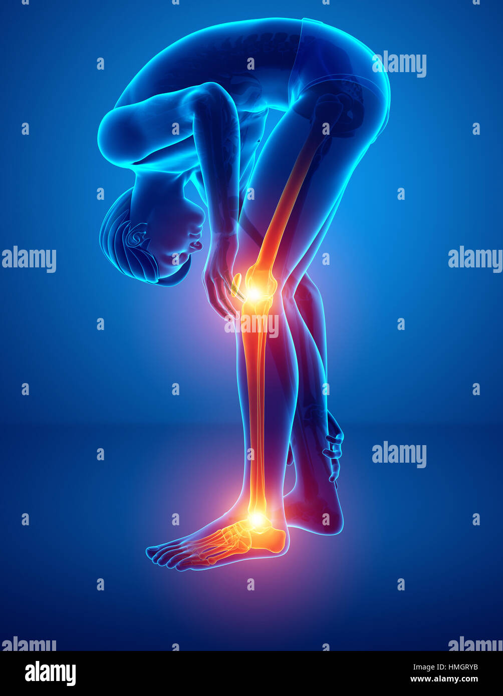 human body anatomy with joint pain Stock Photo - Alamy