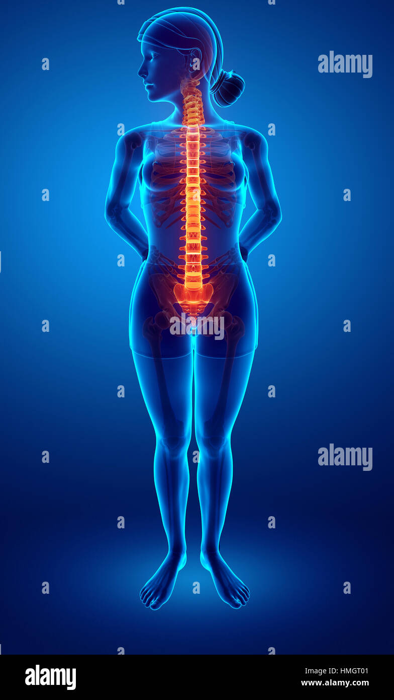 human body anatomy with joint pain Stock Photo - Alamy