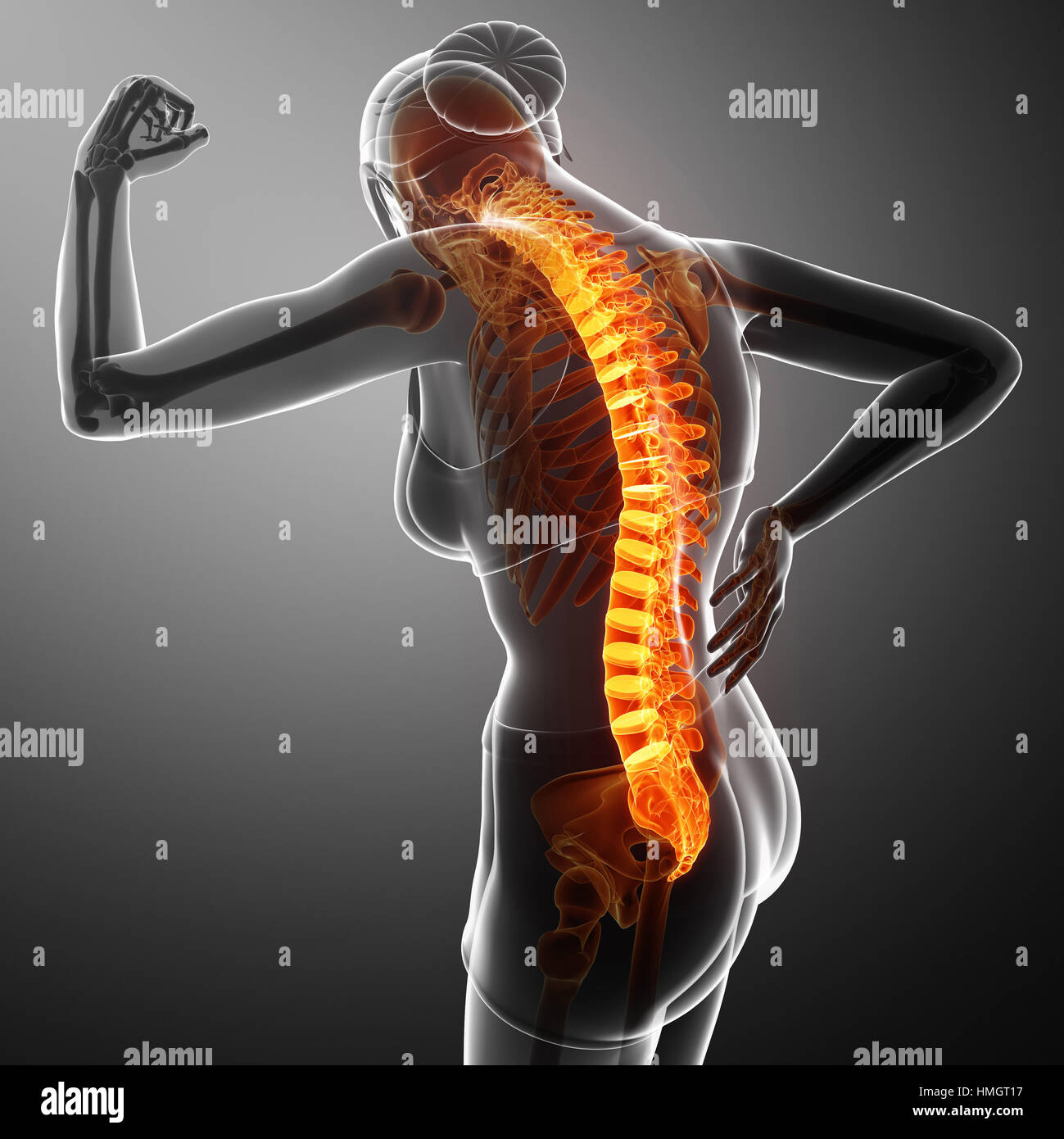 human body anatomy with joint pain Stock Photo - Alamy