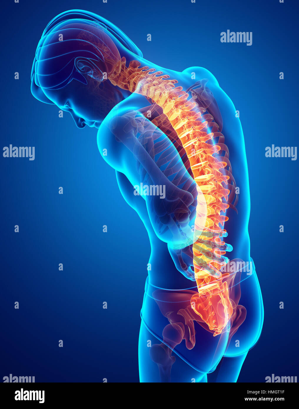 human body anatomy with joint pain Stock Photo - Alamy