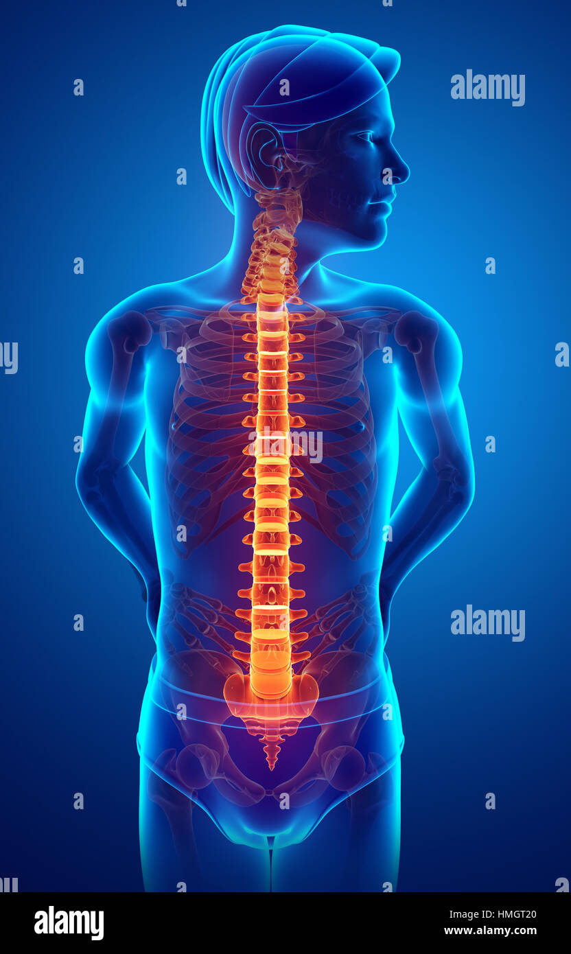 human body anatomy with joint pain Stock Photo - Alamy