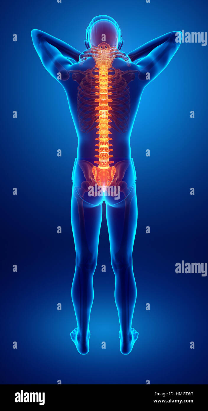 human body anatomy with joint pain Stock Photo - Alamy